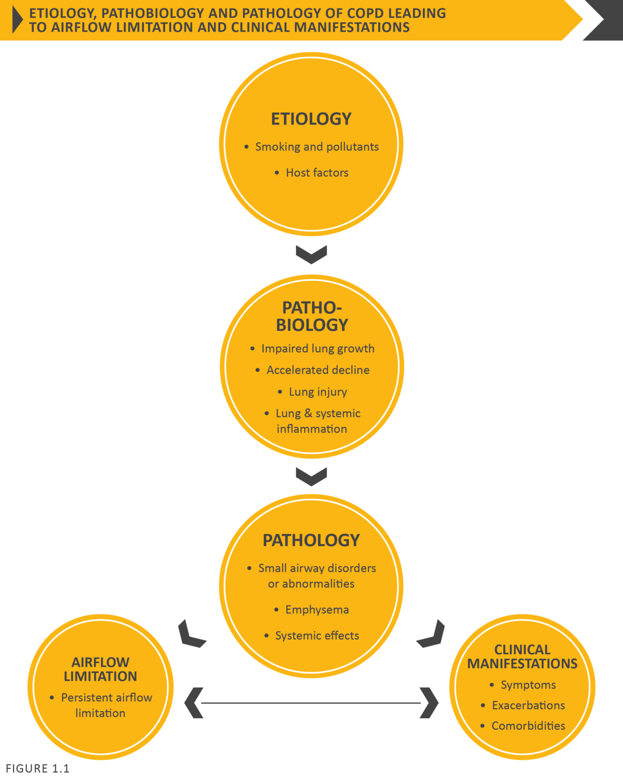 Digital GOLD Report - Global Initiative for Chronic Obstructive Lung ...
