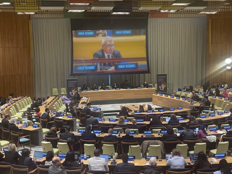 UN General Assembly - December 16, 2025 - Global Initiative for Chronic ...